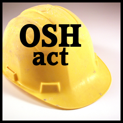 Workers’ Memorial Day 2013 Observed - OSHA Pros